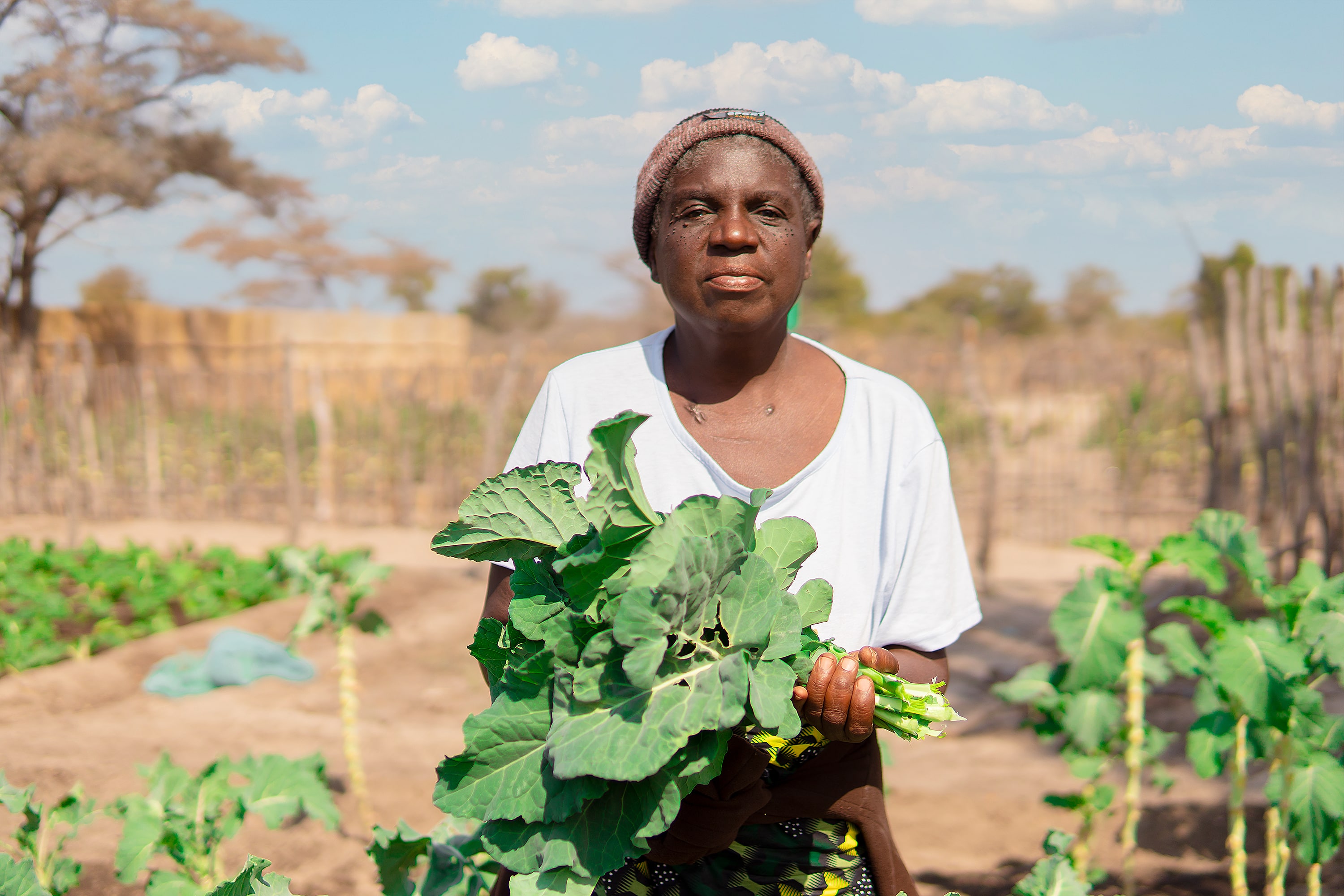 Rural Area In Africa