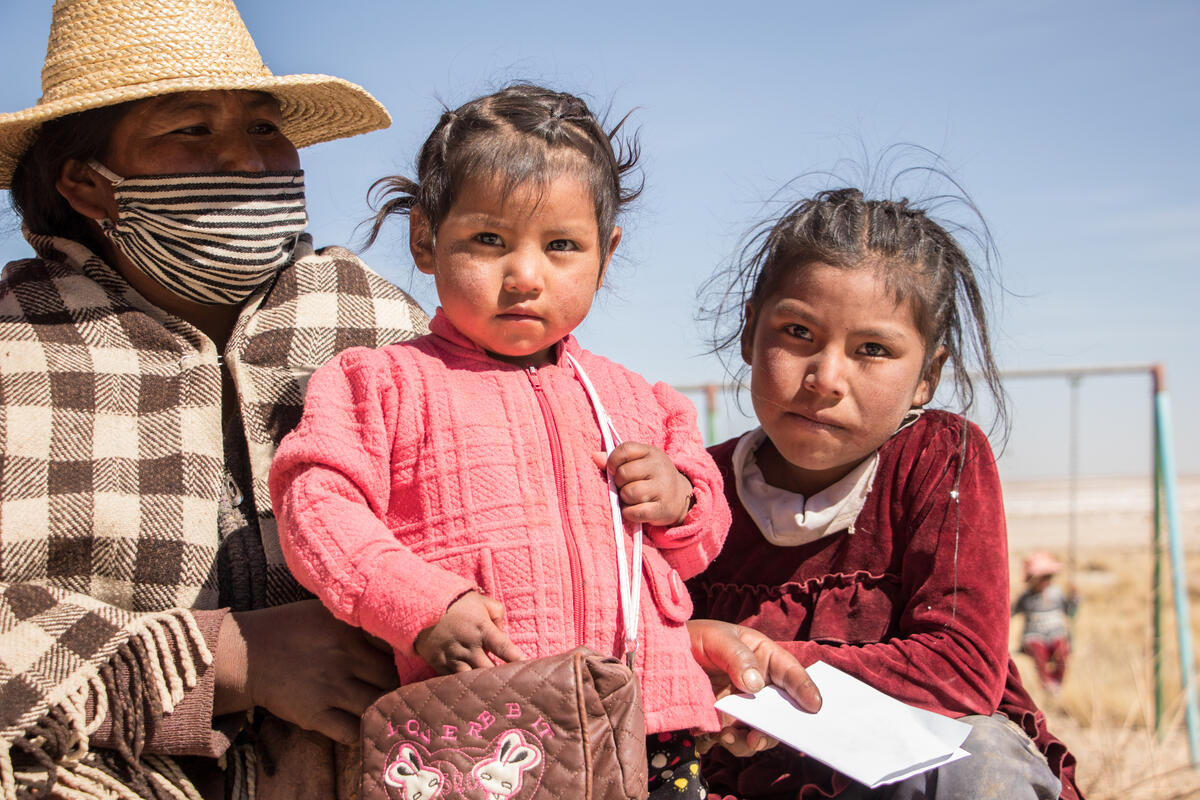Bolivian Government Structure
