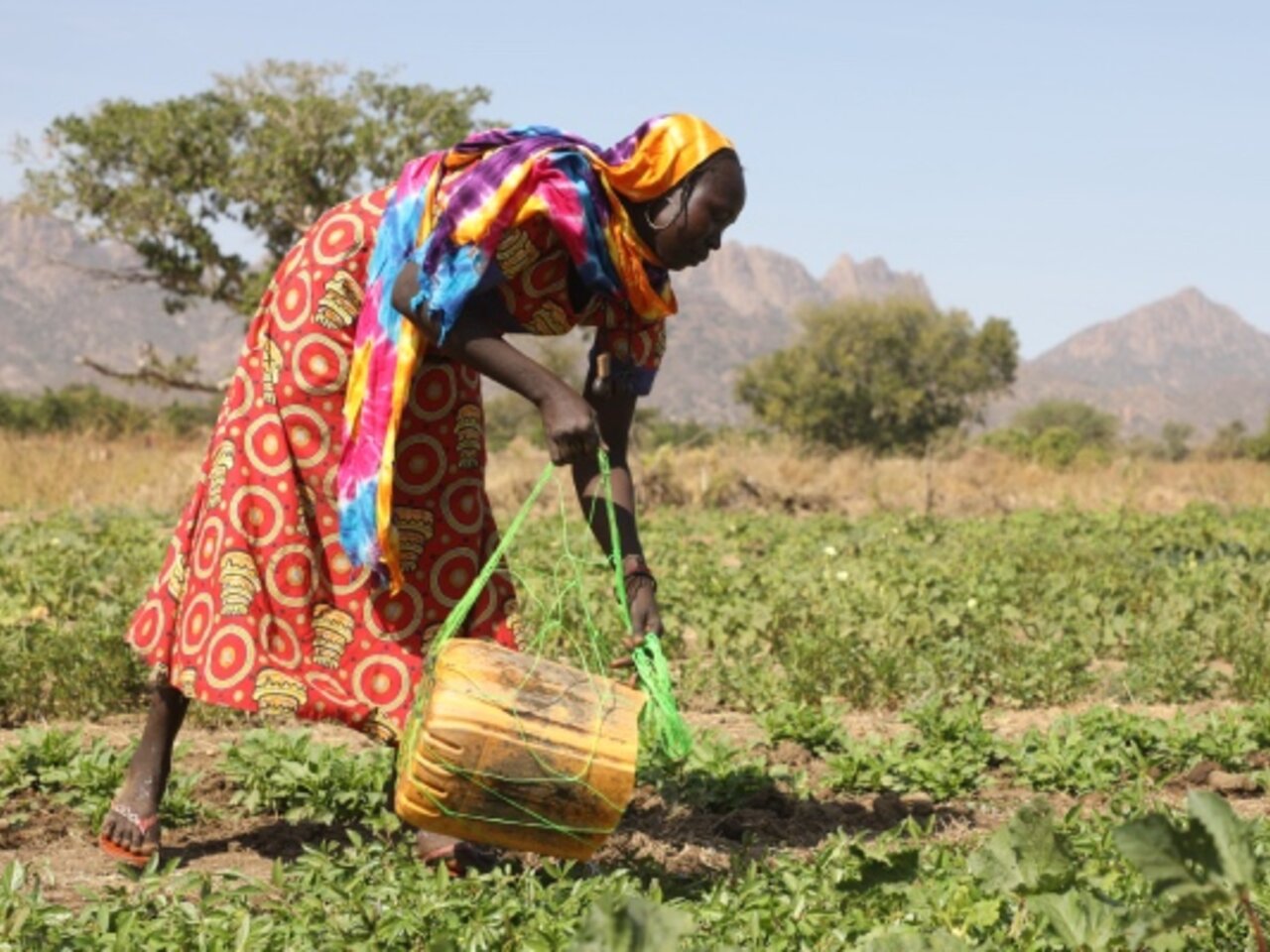 Chad | World Food Programme