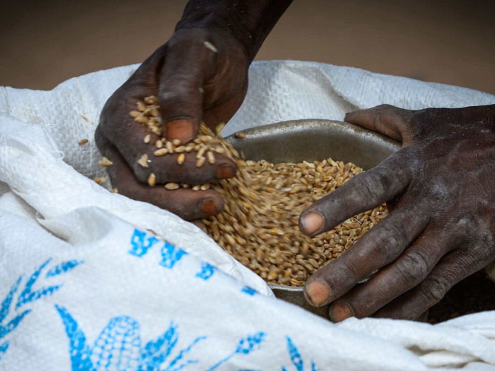 Do business with WFP | World Food Programme