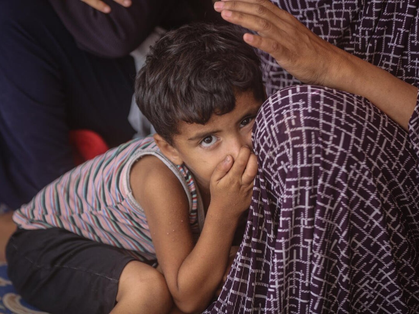 Palestine | World Food Programme