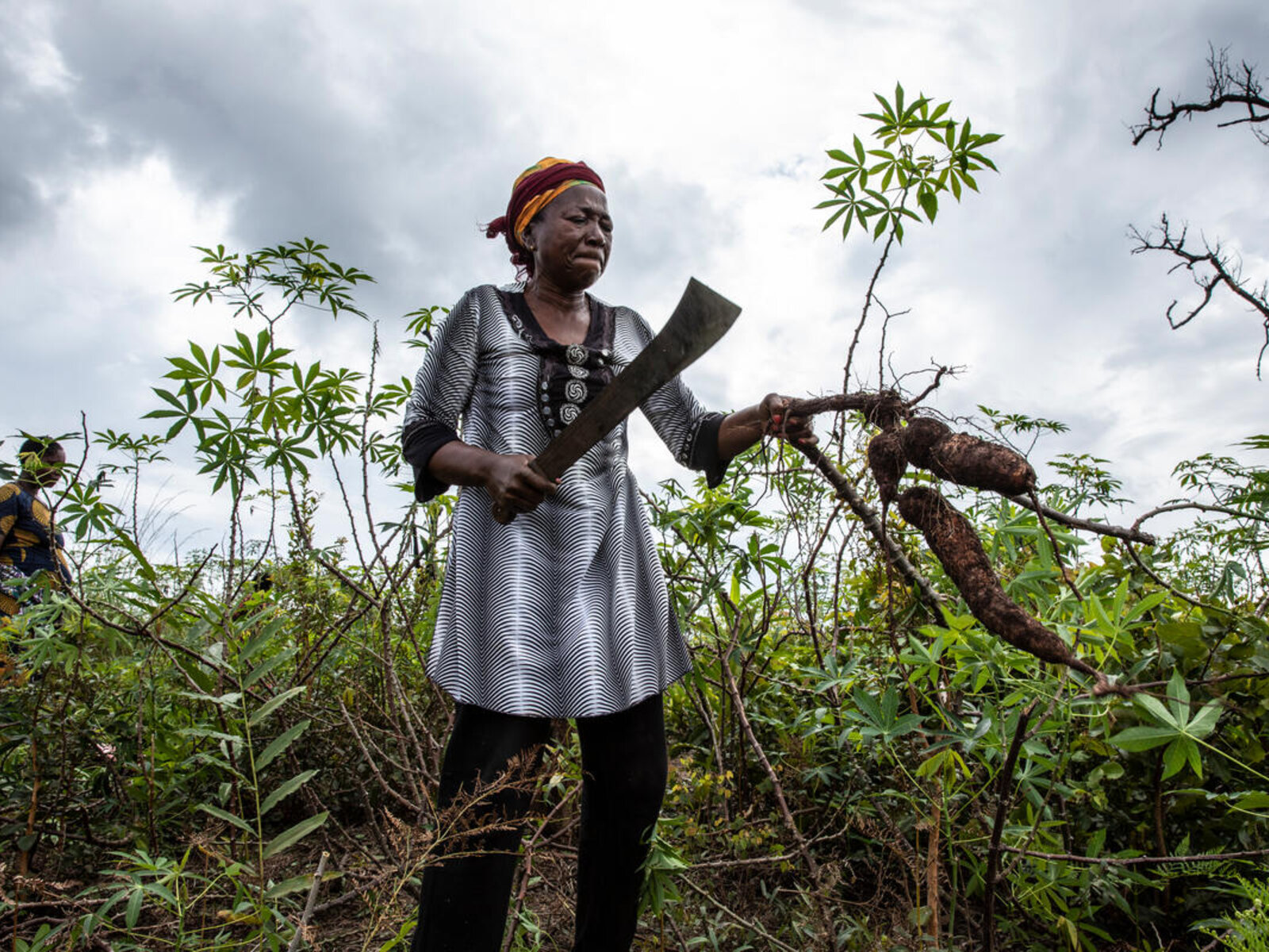 Republic of Angola | World Food Programme