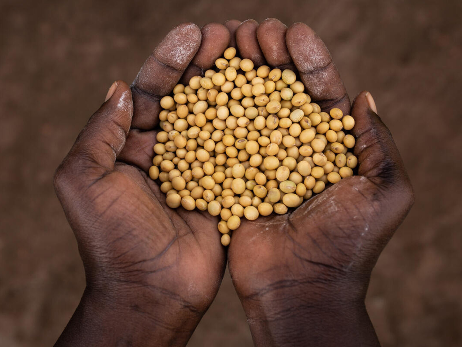 Uganda | World Food Programme