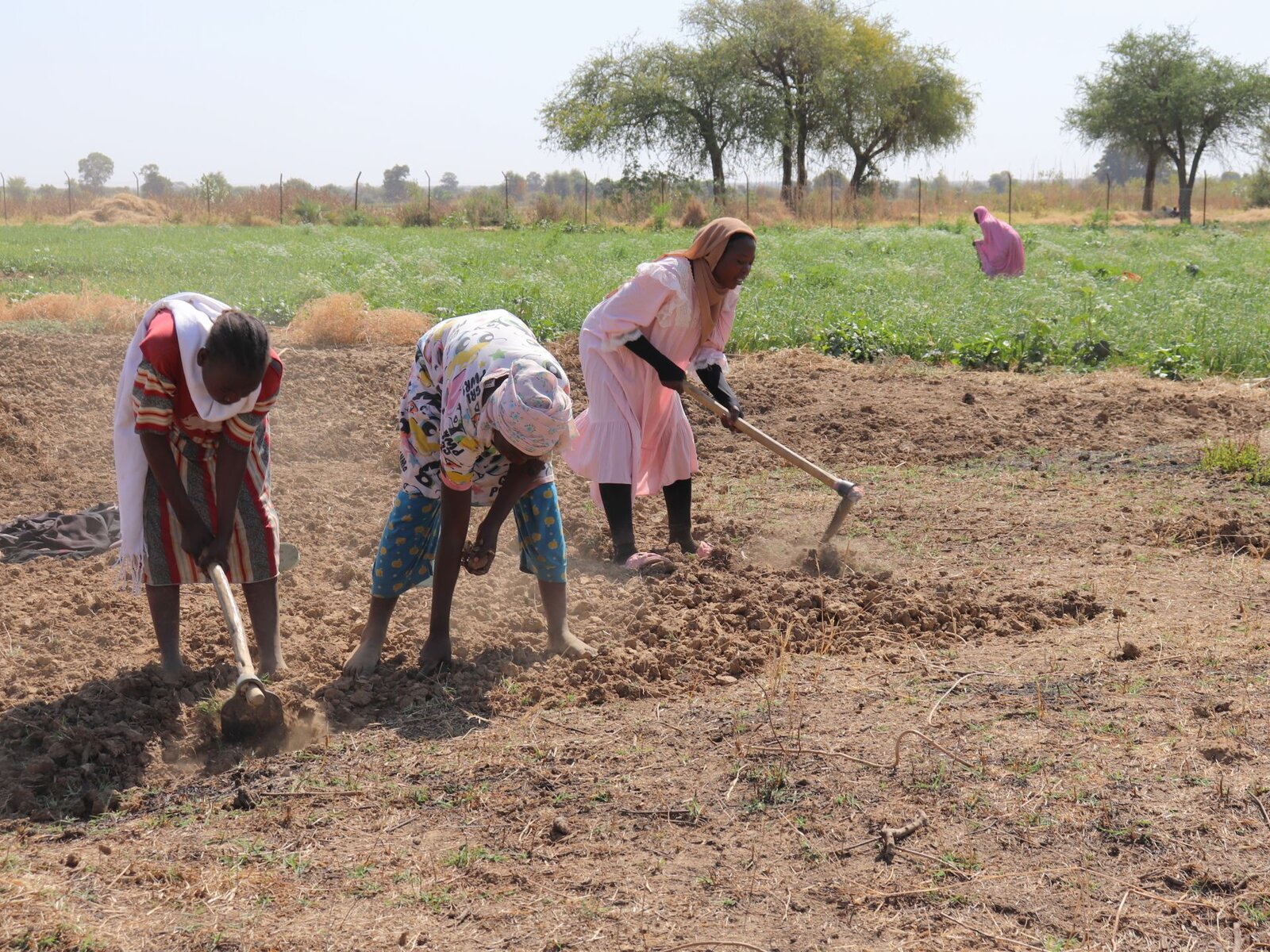 Chad | World Food Programme