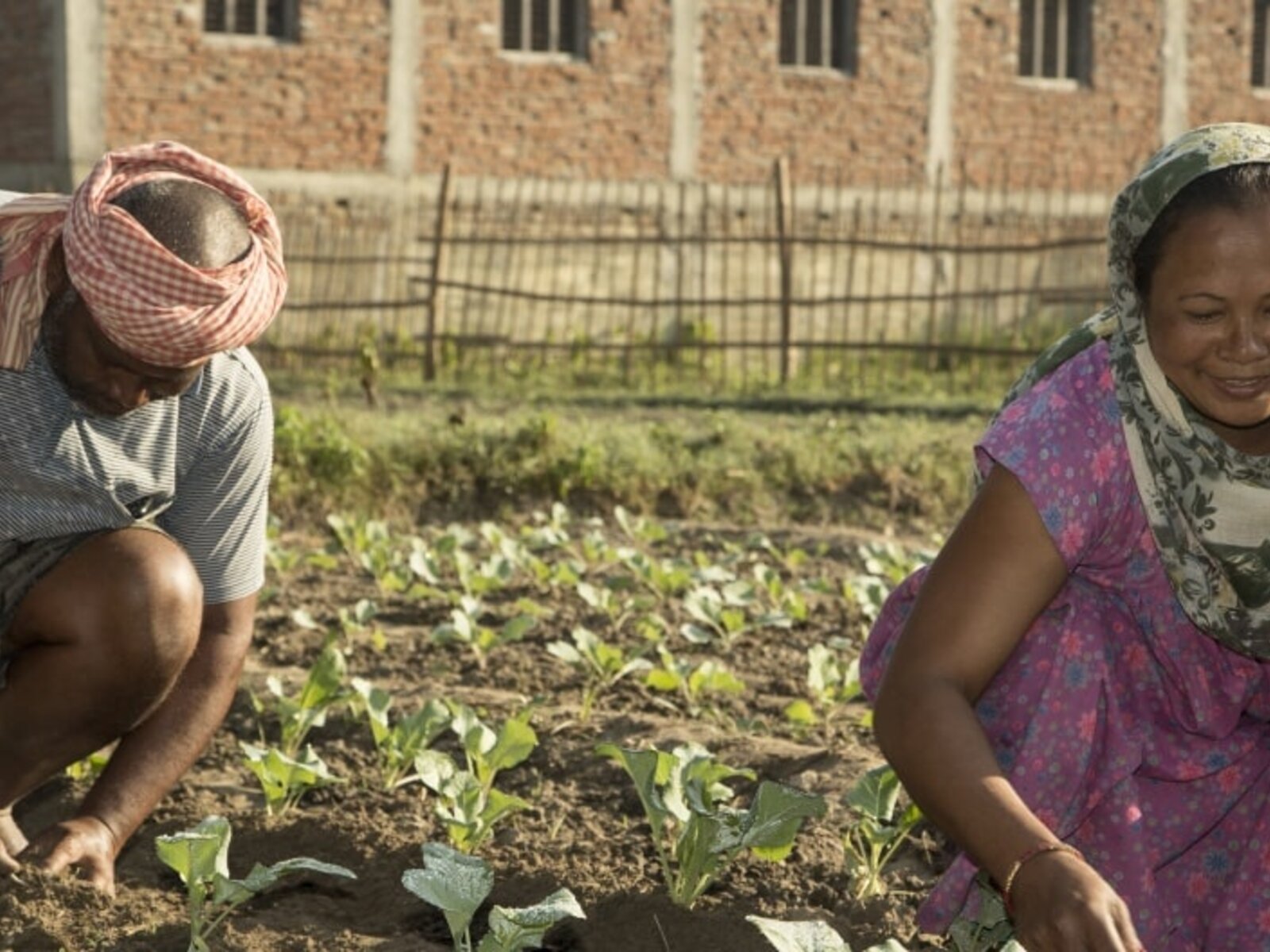 Gender equality | World Food Programme