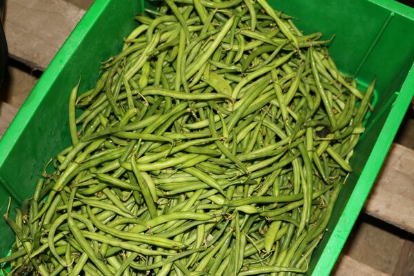 Ugly vegetables destined for the dump are now helping to feed thousands ...