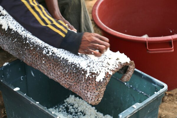 Congo: African cooperation improves food processing | World Food Programme