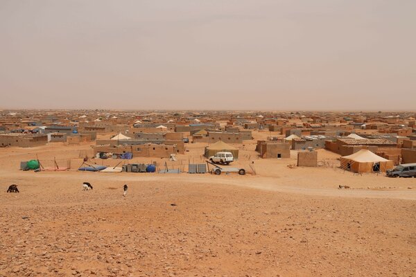 How I grew barley in the desert | World Food Programme