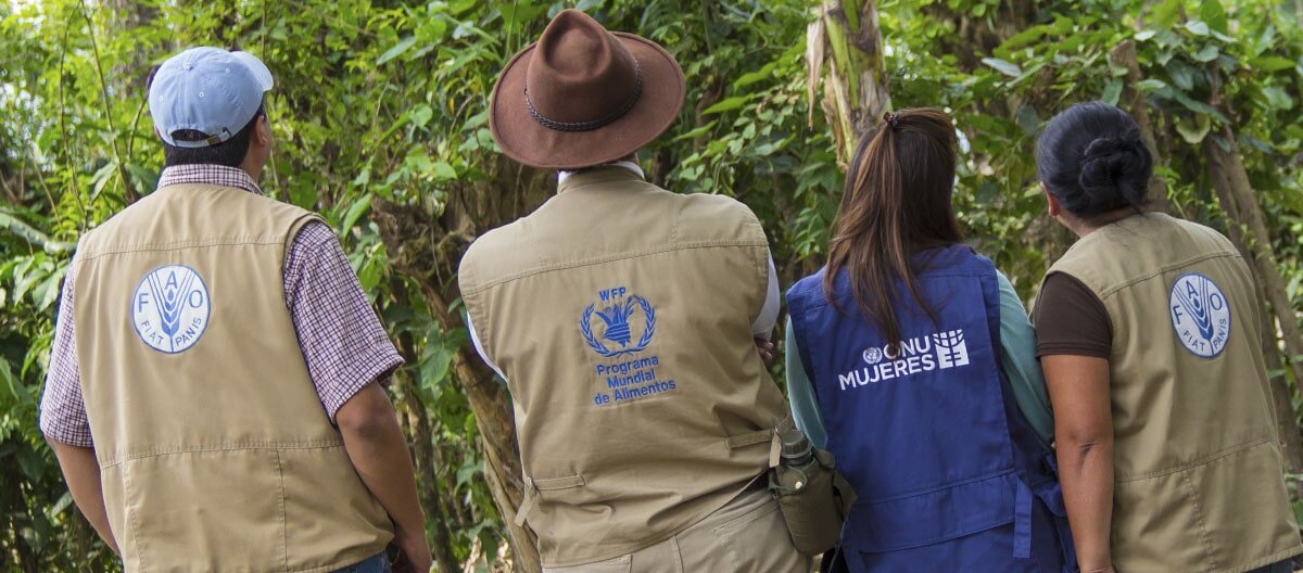 Rome-based agencies | World Food Programme