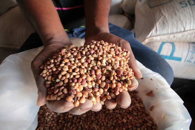 What’s in a bag? | World Food Programme