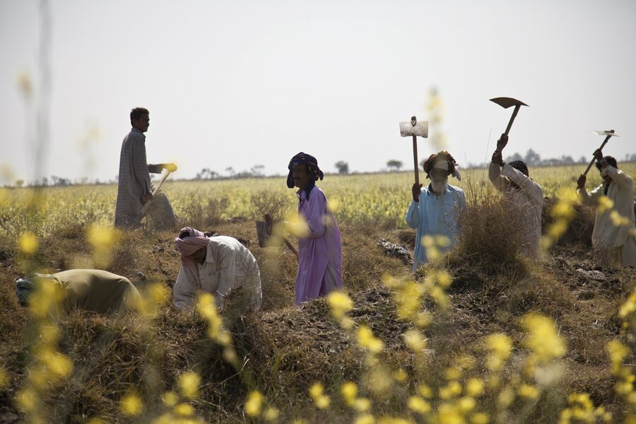 Pakistan — A contradiction of abundance and malnutrition | World Food ...