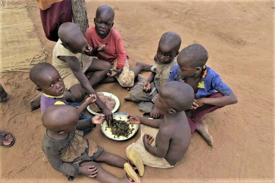‘We used to eat three meals a day, now we can afford only one’ | World ...