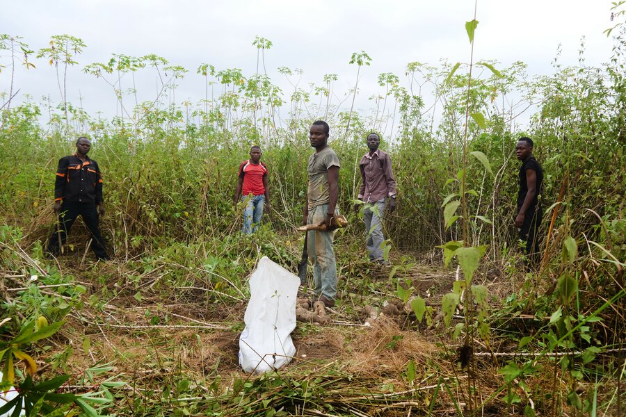 Cassava at the crossroads in Congo | World Food Programme