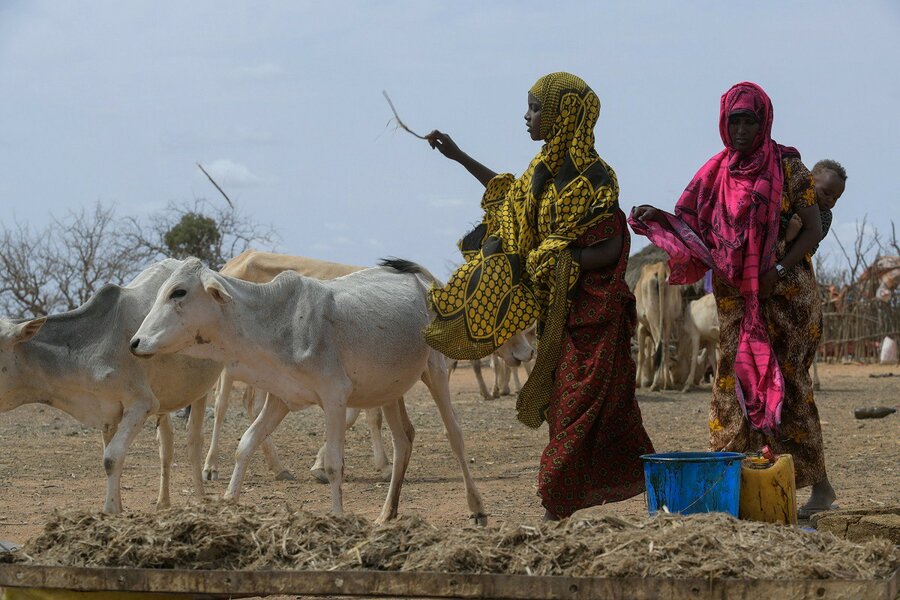 Climate variability and extremes among key drivers of uptick in world ...