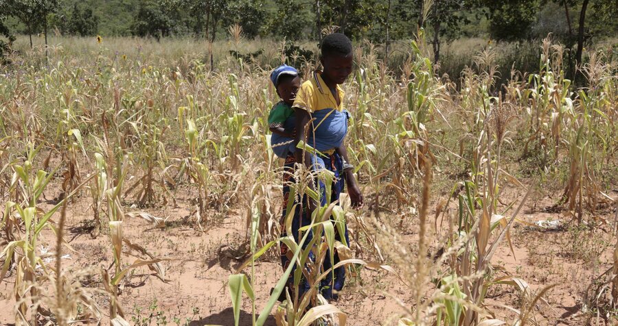How drought is killing Zimbabwe | World Food Programme