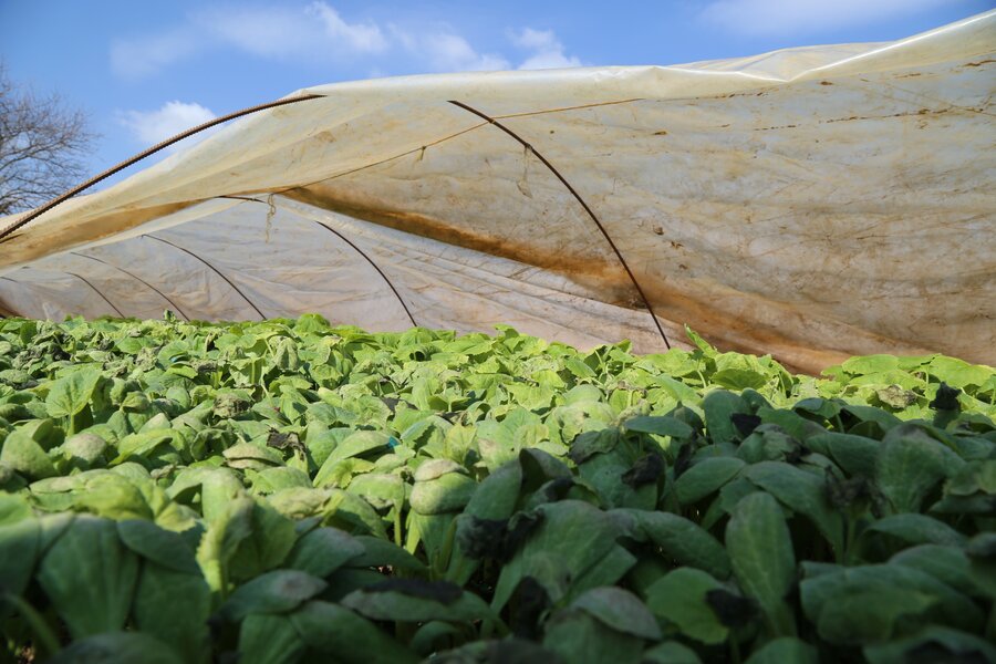 ‘This funding means that we can save and change more lives every year ...