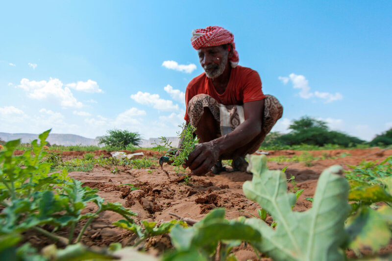 Nobel peace prize anniversary: Yemen looks set for another year of ...