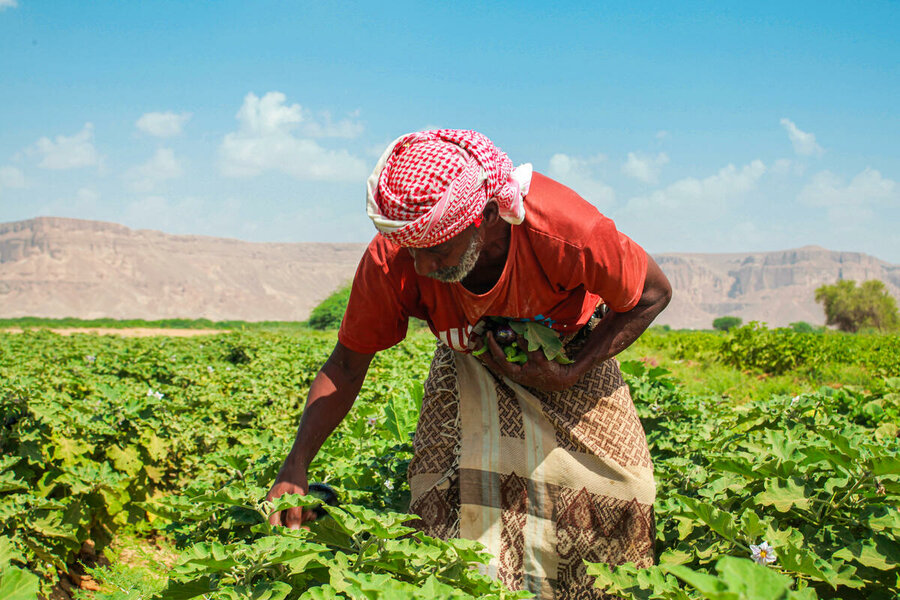 COP27: How WFP is responding to the climate crisis in the Middle East ...