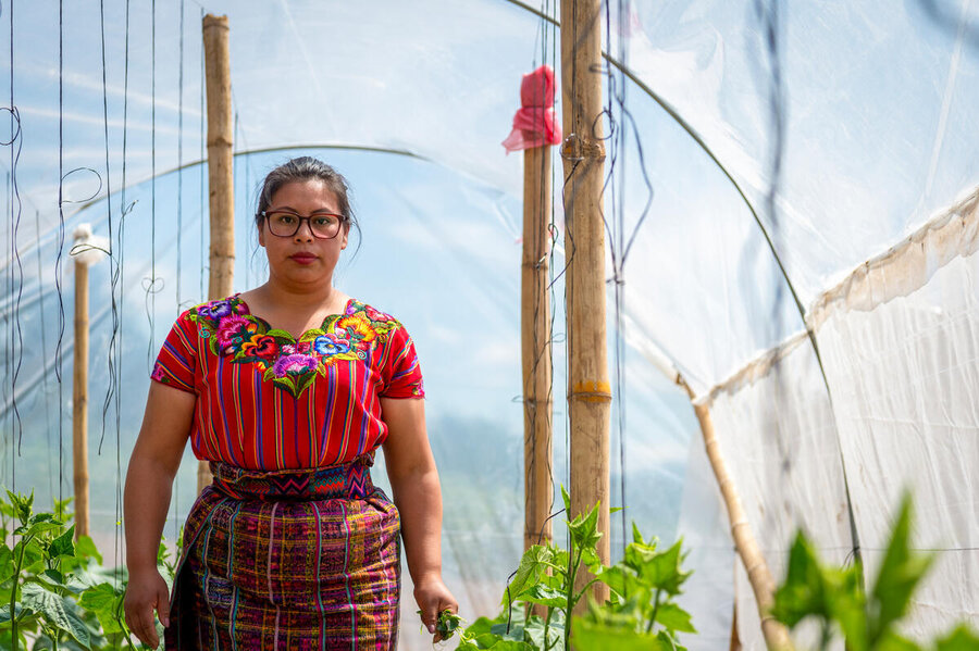 Guatemala: How WFP-supported farmers keep school learners nourished ...