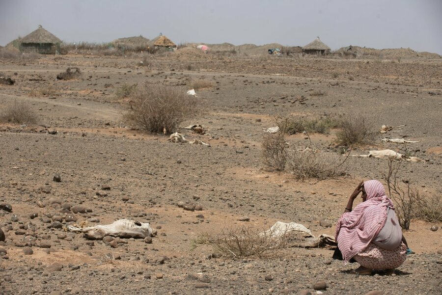 Ethiopia: WFP responds as the worst drought in a lifetime intensifies ...