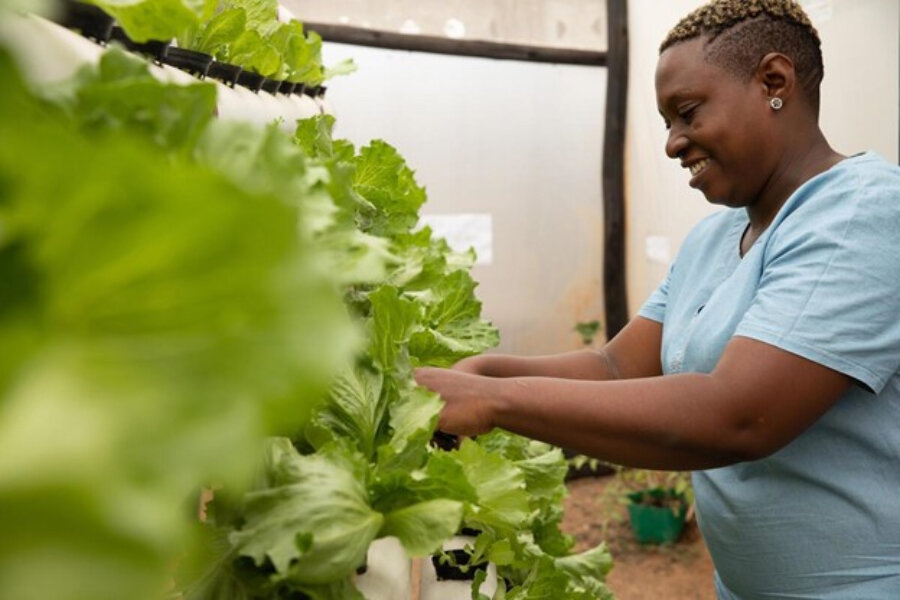 Climate innovation takes to the stage at COP27 | World Food Programme