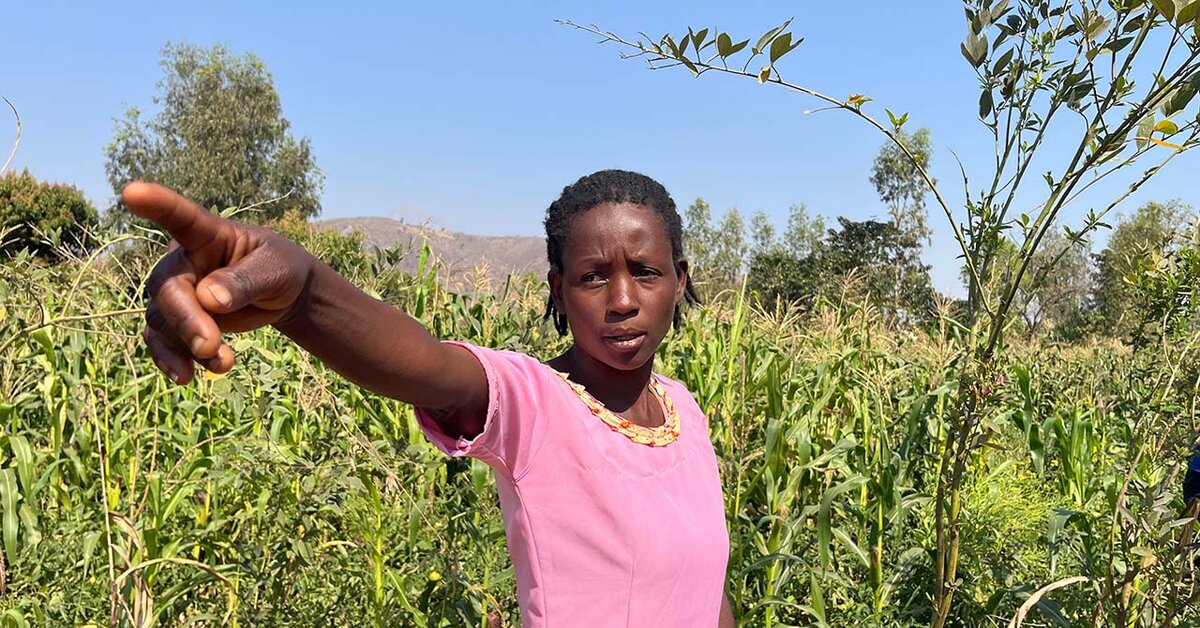 Tale of two villages: In Malawi, farmers point the way as drought ...