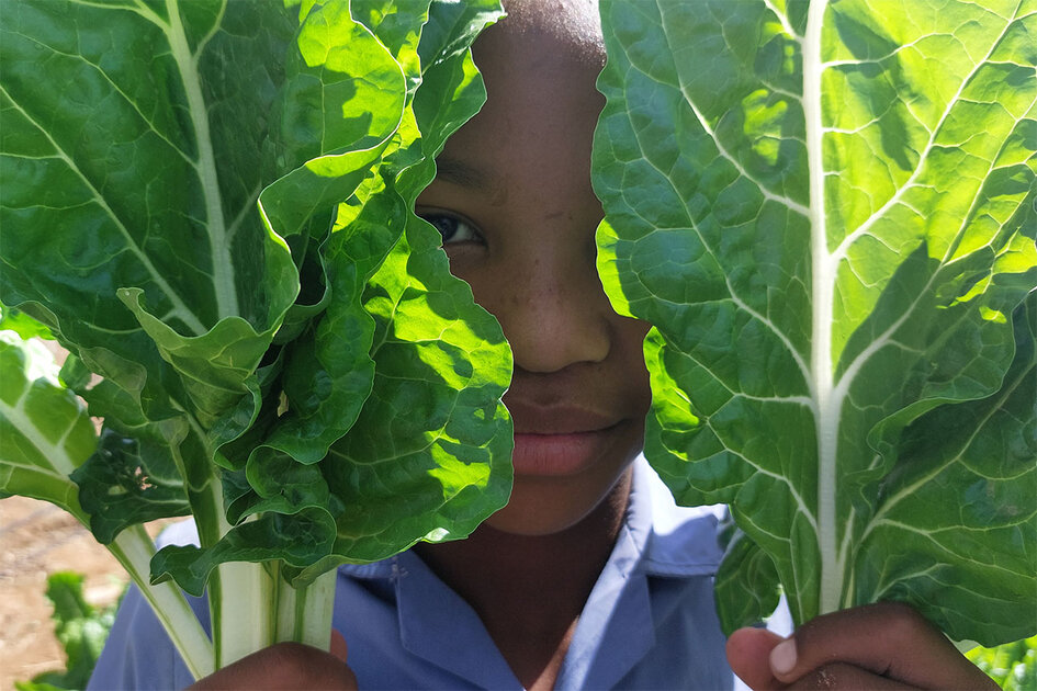 Namibia | World Food Programme