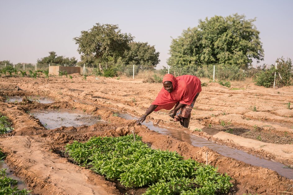 Niger | World Food Programme