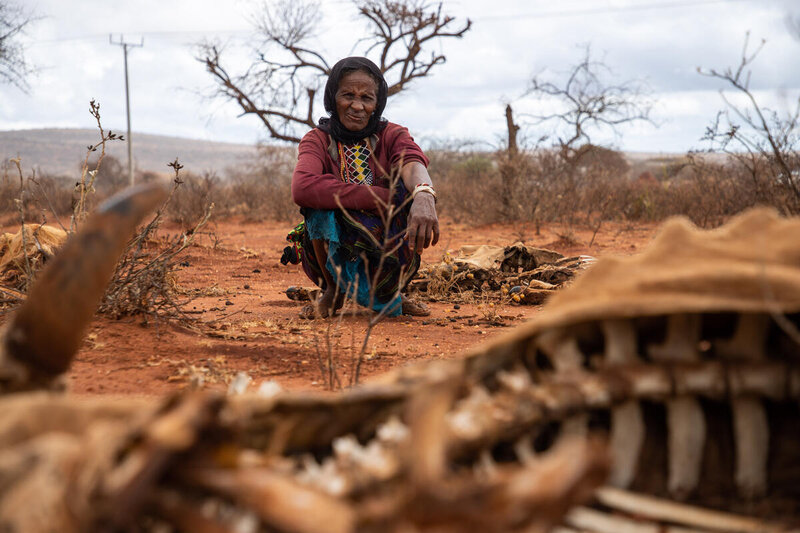 Hunger emergency far from over in crisis hit Horn of Africa | World ...