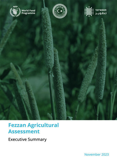 2023 - Libya - Executive Summary: Fezzan Agricultural Assessment ...