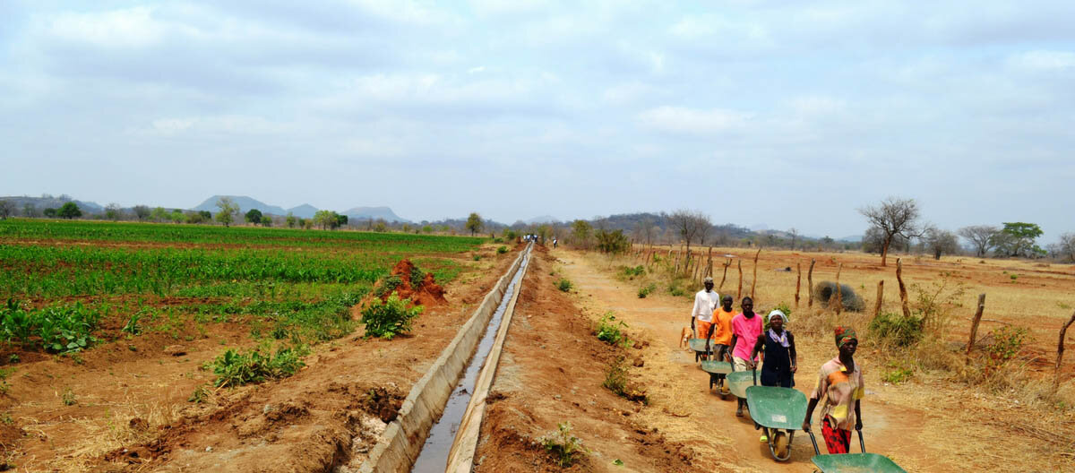 Sustainable livelihoods and ecosystems | World Food Programme