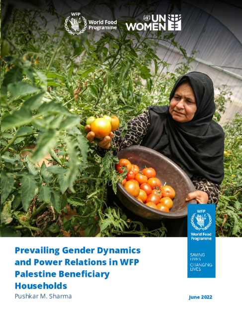 Gender Relations and Power Dynamics in WFP Palestine Beneficiary ...