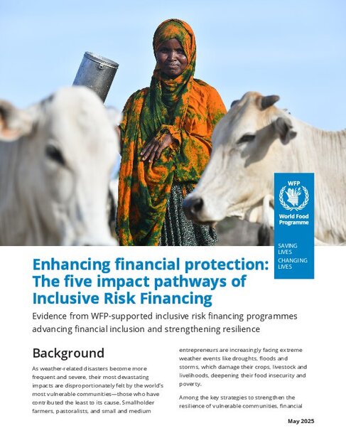 Enhancing financial protection: The five impact pathways of Inclusive ...