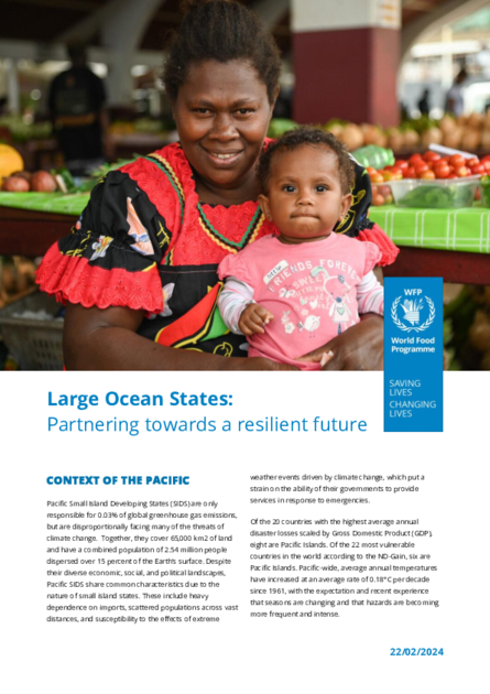Large ocean states partnering towards a resilient future | World Food ...