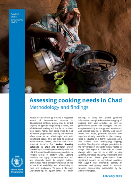 Assessing cooking needs in Chad | World Food Programme