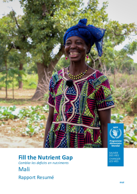 Fill the Nutrient Gap - Mali Summary Report | World Food Programme