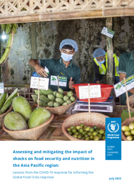 Assessing and mitigating the impact of shocks on food security and ...