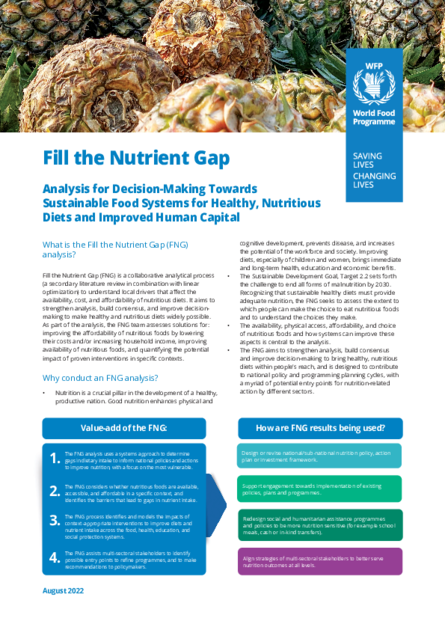 Fill the Nutrient Gap | World Food Programme