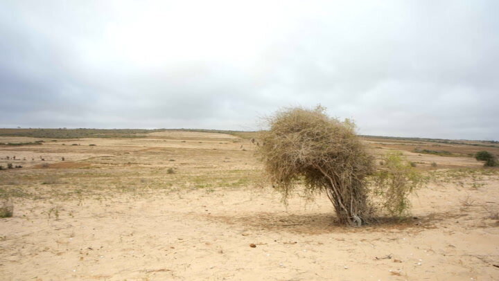 New WFP Video Shows People Resorting to Desperate Measures as Drought ...