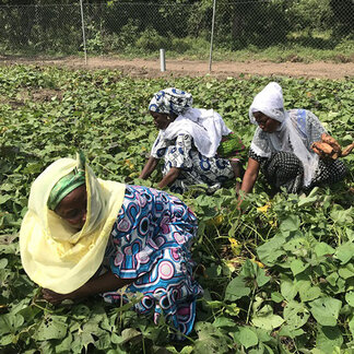 Ghana | World Food Programme