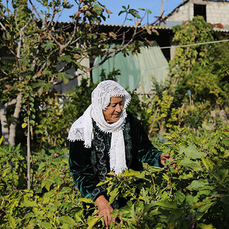 Syrian Arab Republic | World Food Programme