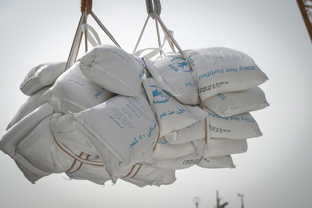 To protect and preserve: How packaging can help prevent food loss and ...