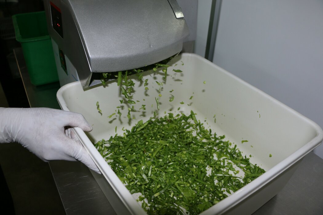 Ugly vegetables destined for the dump are now helping to feed thousands ...