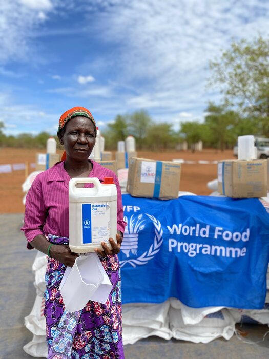 ‘Robbed of potential’: One man’s love letter to Zimbabwe | World Food ...