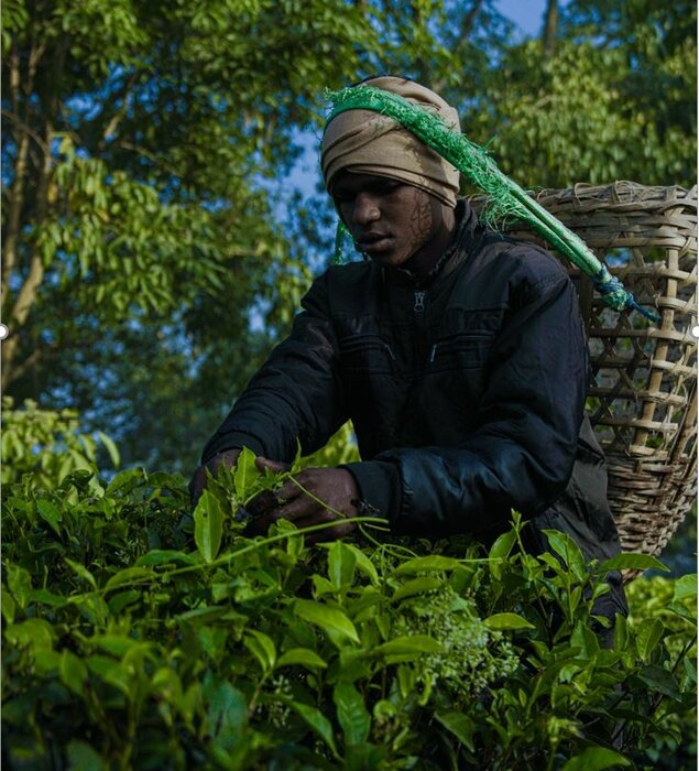 Nepal: How WFP helps families recover from devastating floods | World ...