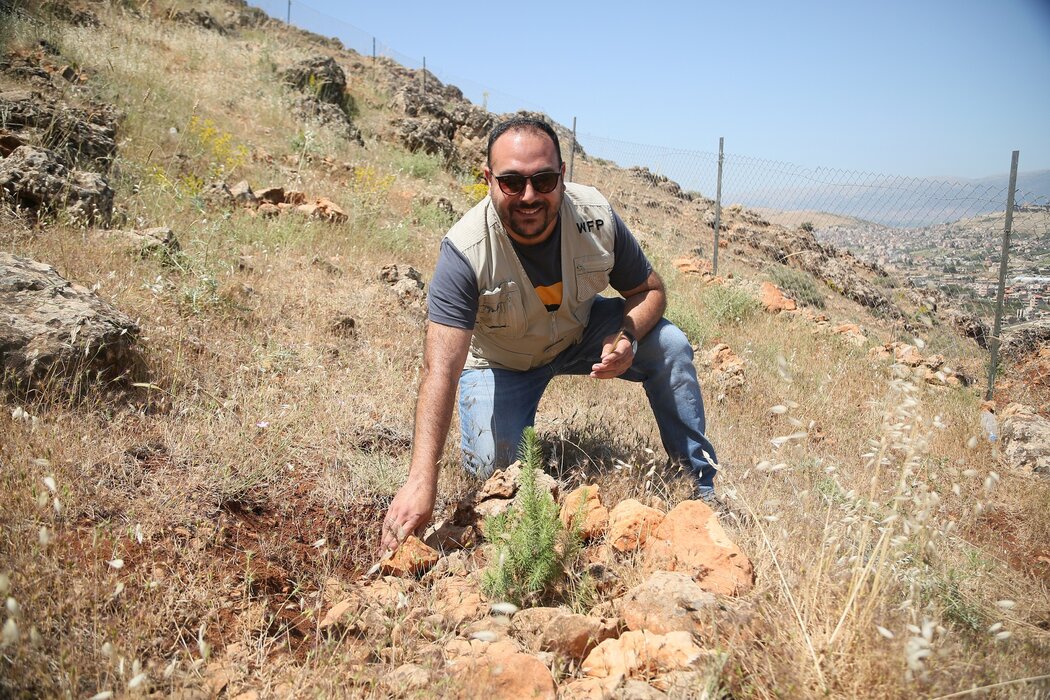 The tree planters: 'We want to see a greener Lebanon' | World Food ...
